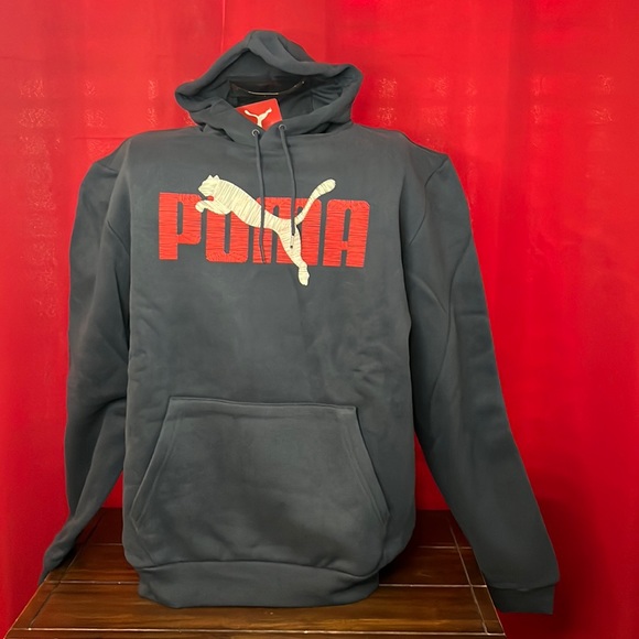 Puma | Sweaters | Brand New Young Mens Puma Hoodie | Poshmark